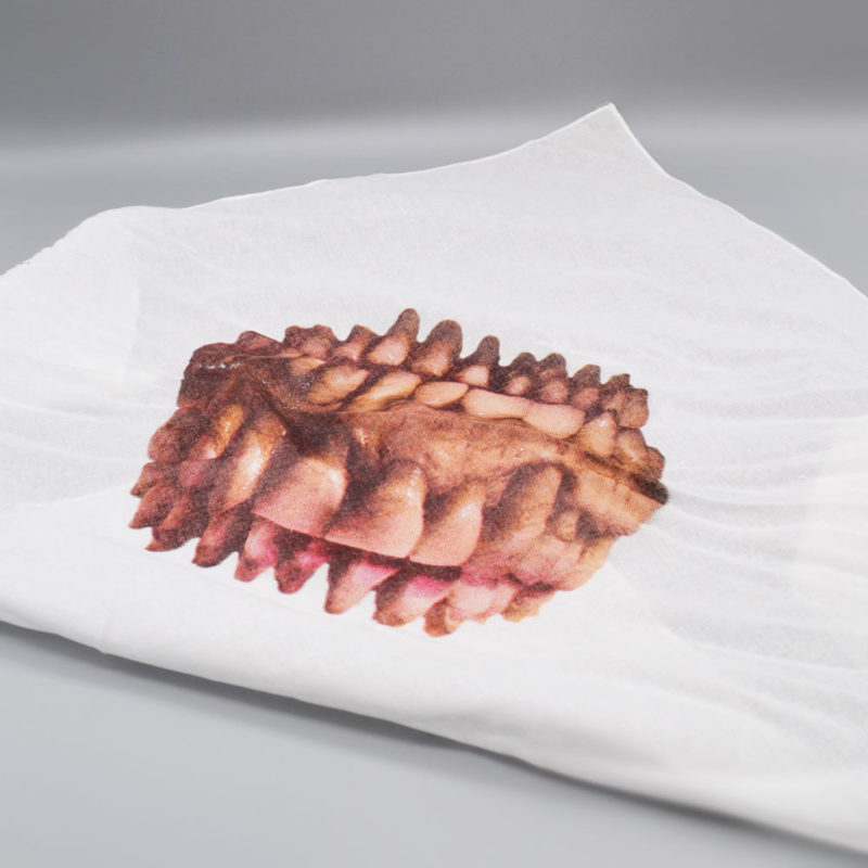 Teeth White – Bandana – Metal the Brand